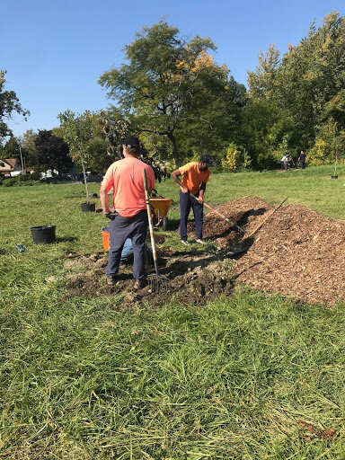 Union Miles neighborhood boasts new mural, tree planting project – The Land