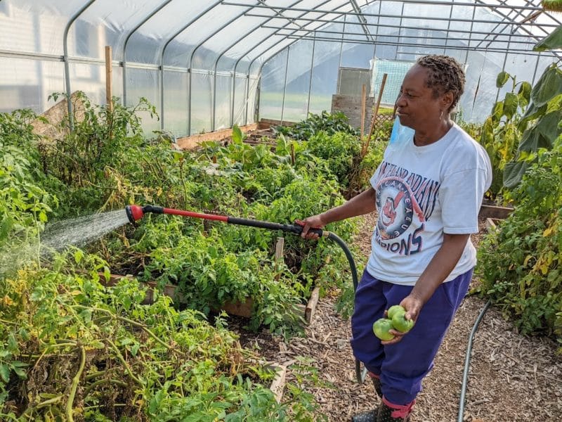 Crooked Branch Farm gets federal honor, helps feed Mount Pleasant – The ...