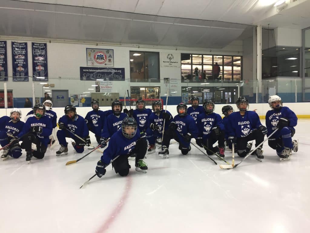 Iced out: Halloran Ice Rink, youth hockey mostly quiet amid leadership ...