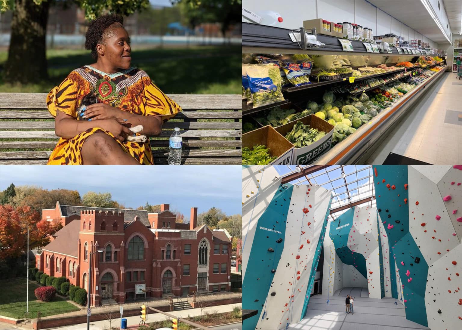 Our top 10 stories of 2022 – The Land