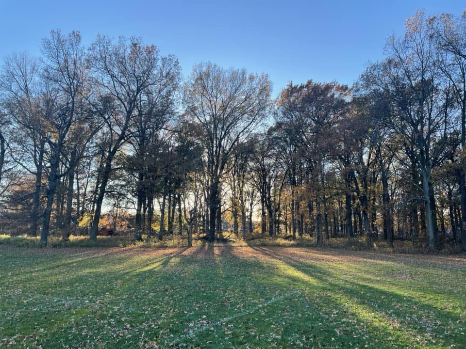 Two West Park neighbors kickstart a community plan for improvements to ...