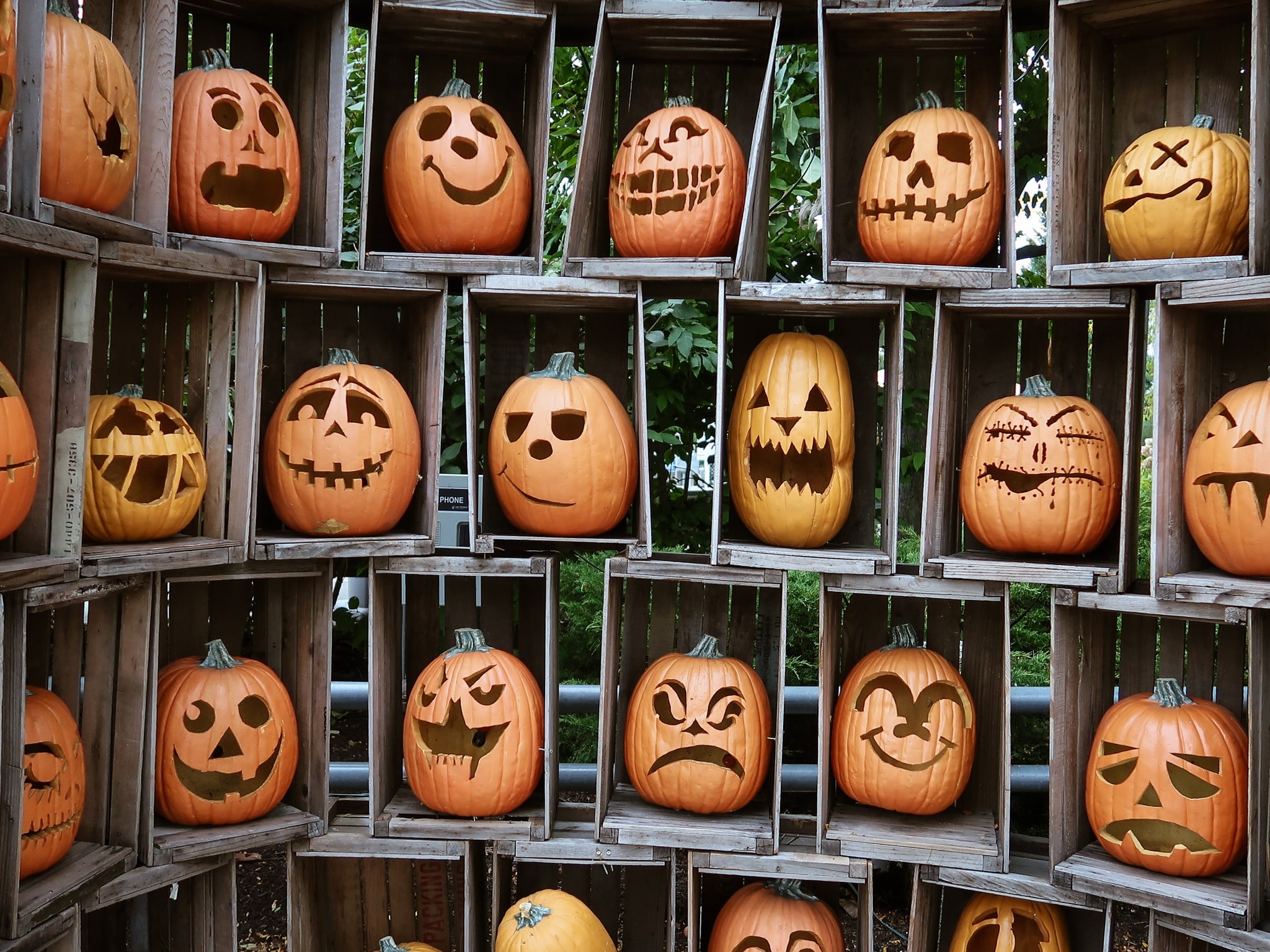 Halloween 2024 events to check out in Cleveland – The Land
